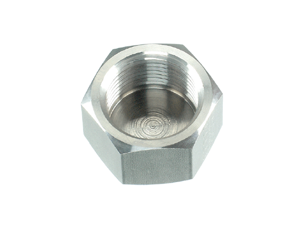 Buy Stainless Steel Caps And Plugs Online | Hydraulic Megastore