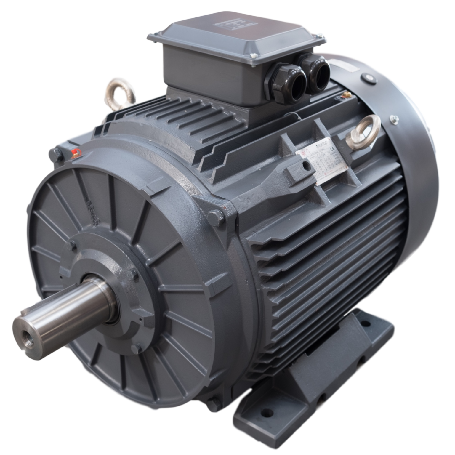 110.0kW, 4 Pole, Three Phase Electric Motor - B3 - Foot Mounted | 110 ...